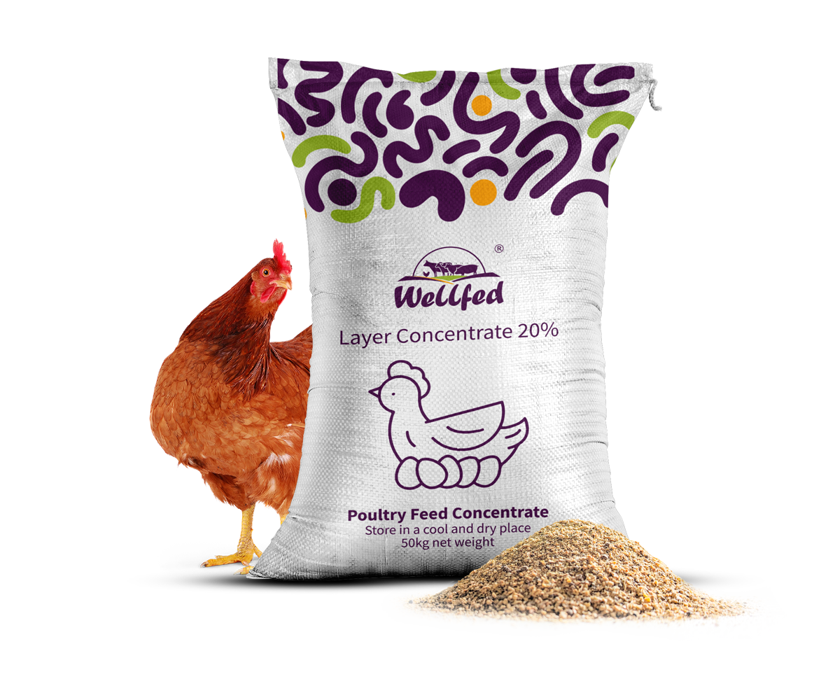 Wellfed Animal Feeds - Wellfed